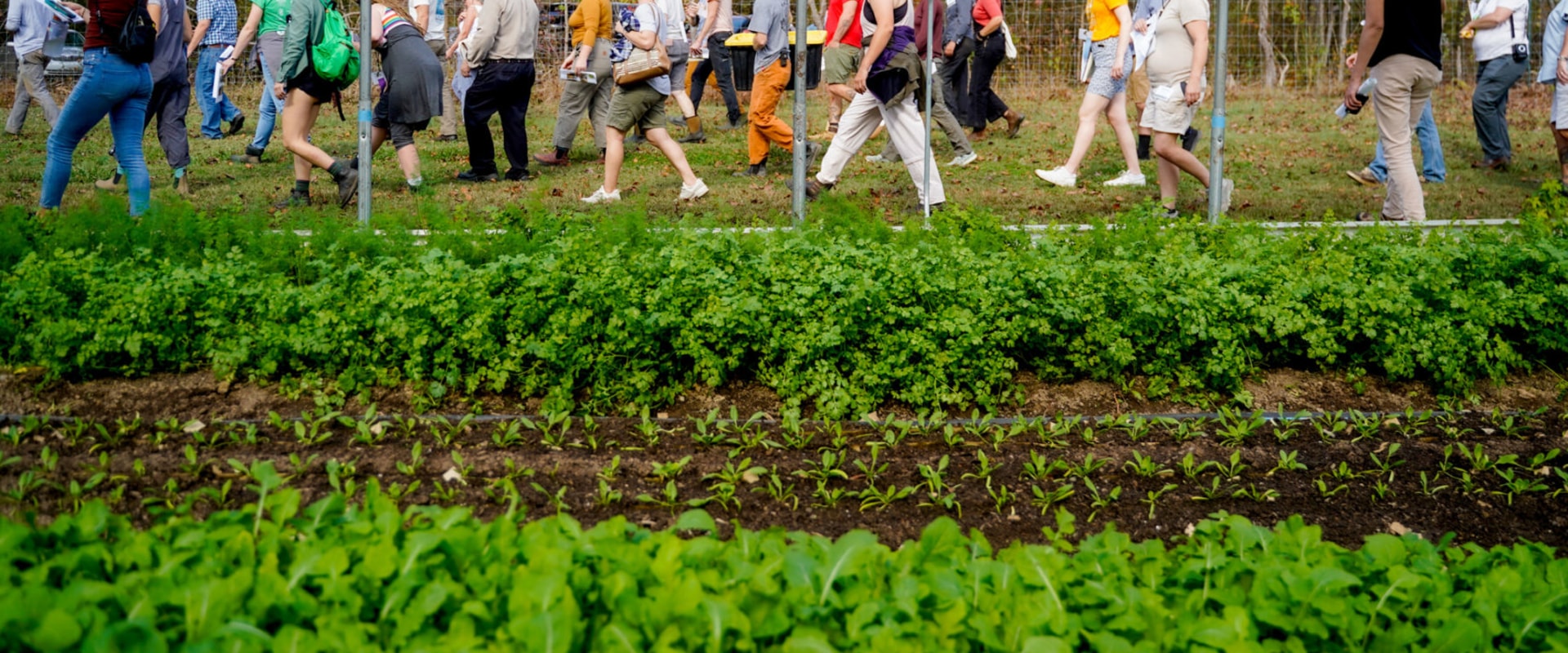 The Importance of Diversity and Inclusivity in Charleston's ...